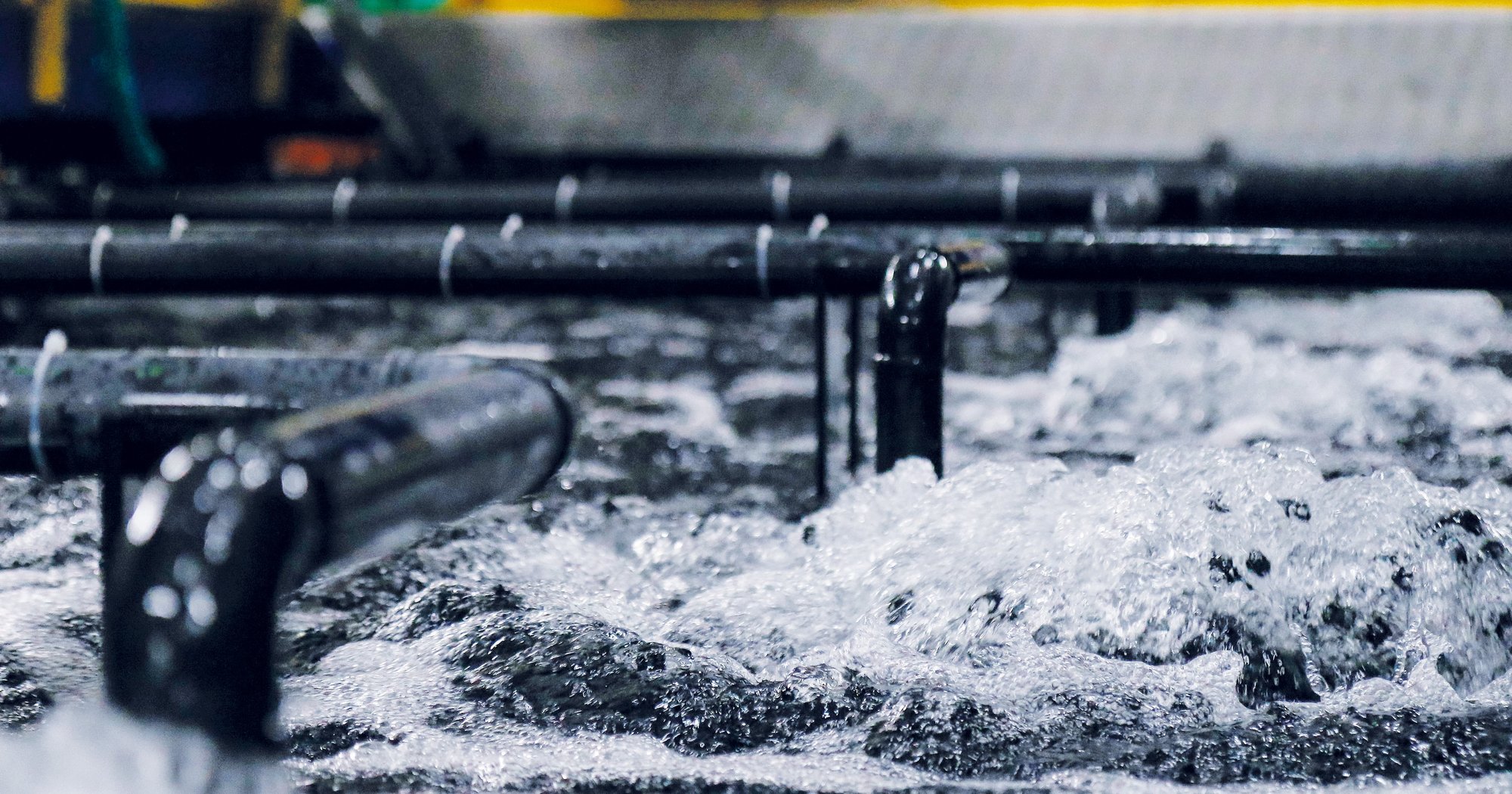 Colasit | Additional equipment in farming facilities for fish and seafood
